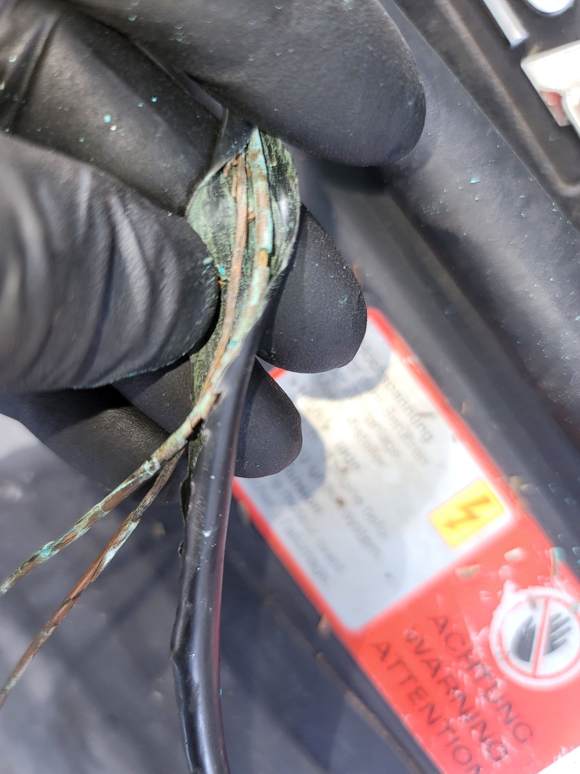 Sub standard wiring - AudiWorld Forums