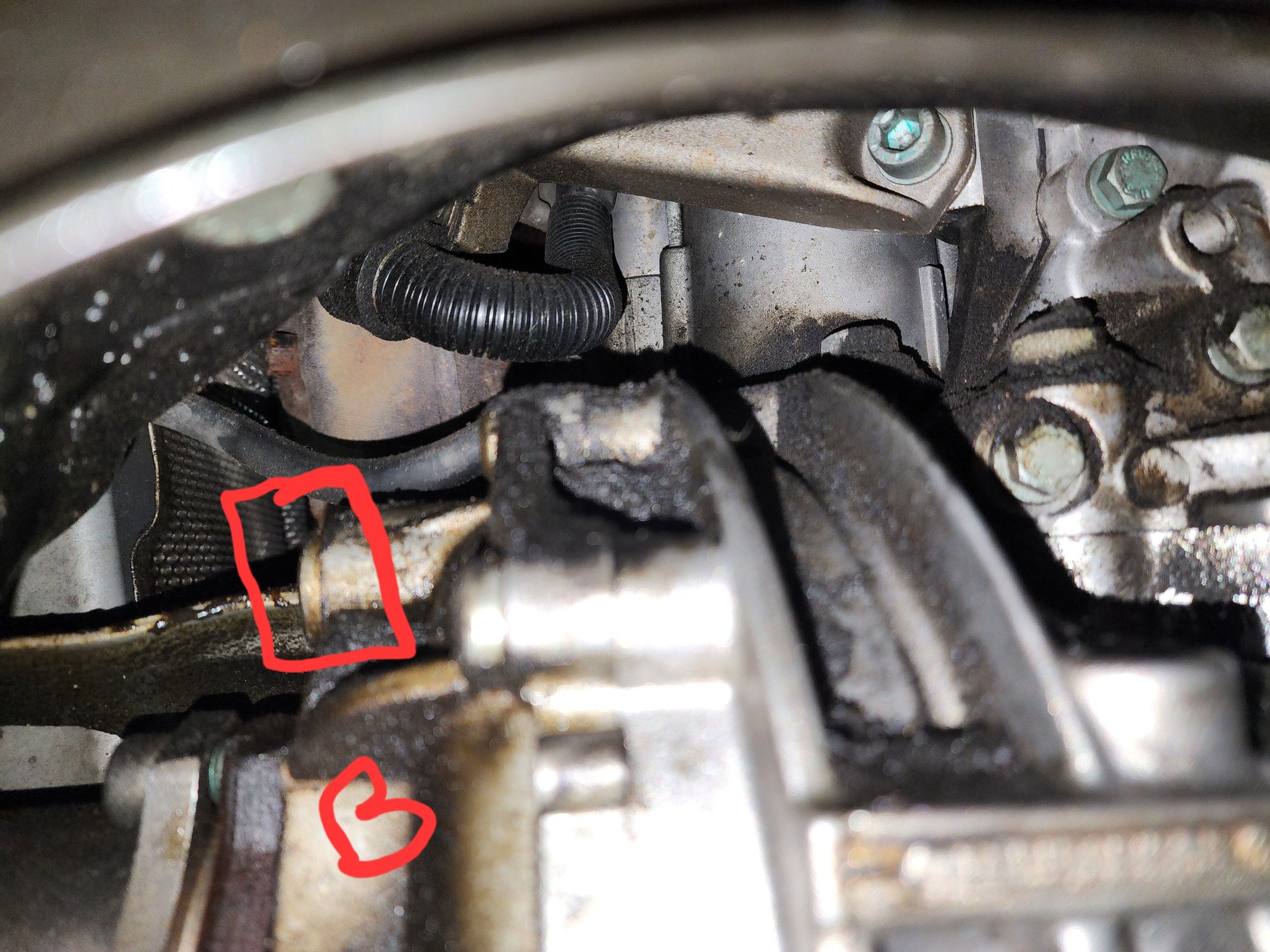 Front differential fluid change D3 A8 - AudiWorld Forums