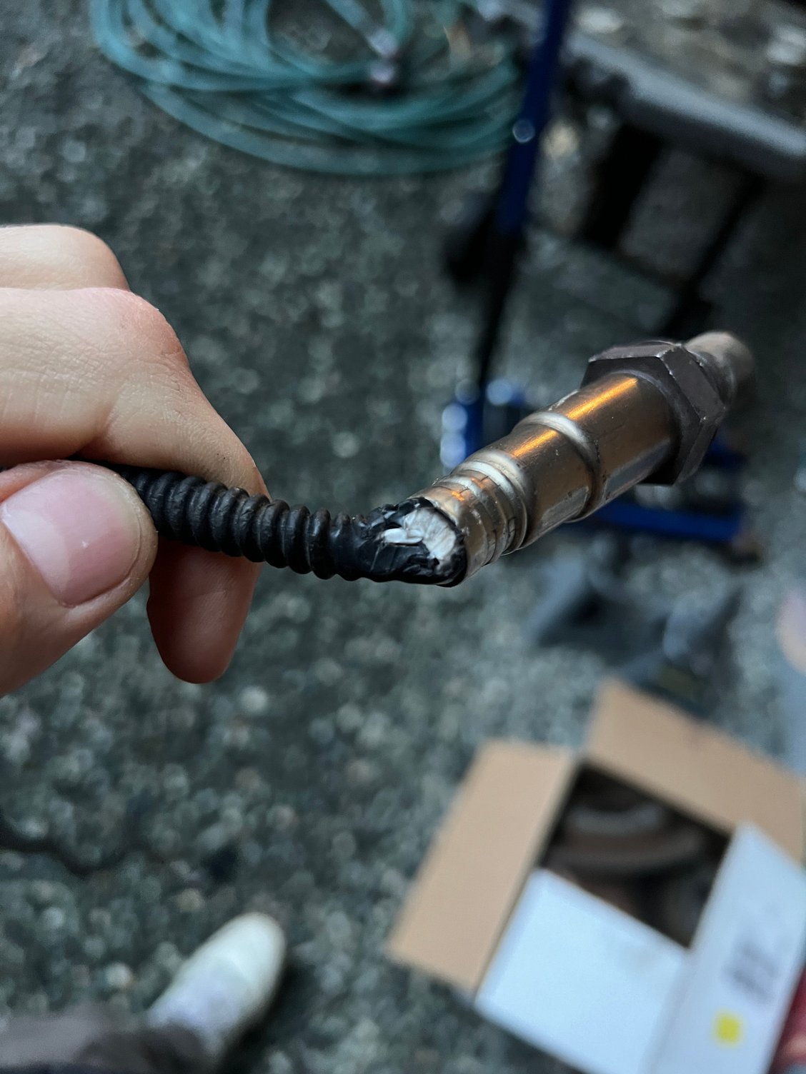 Audi a4 1.8t Quattro o2 sensor issue - AudiWorld Forums