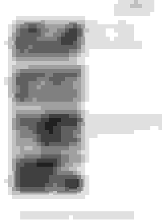 Cete Active Valve Controller Install - AudiWorld Forums