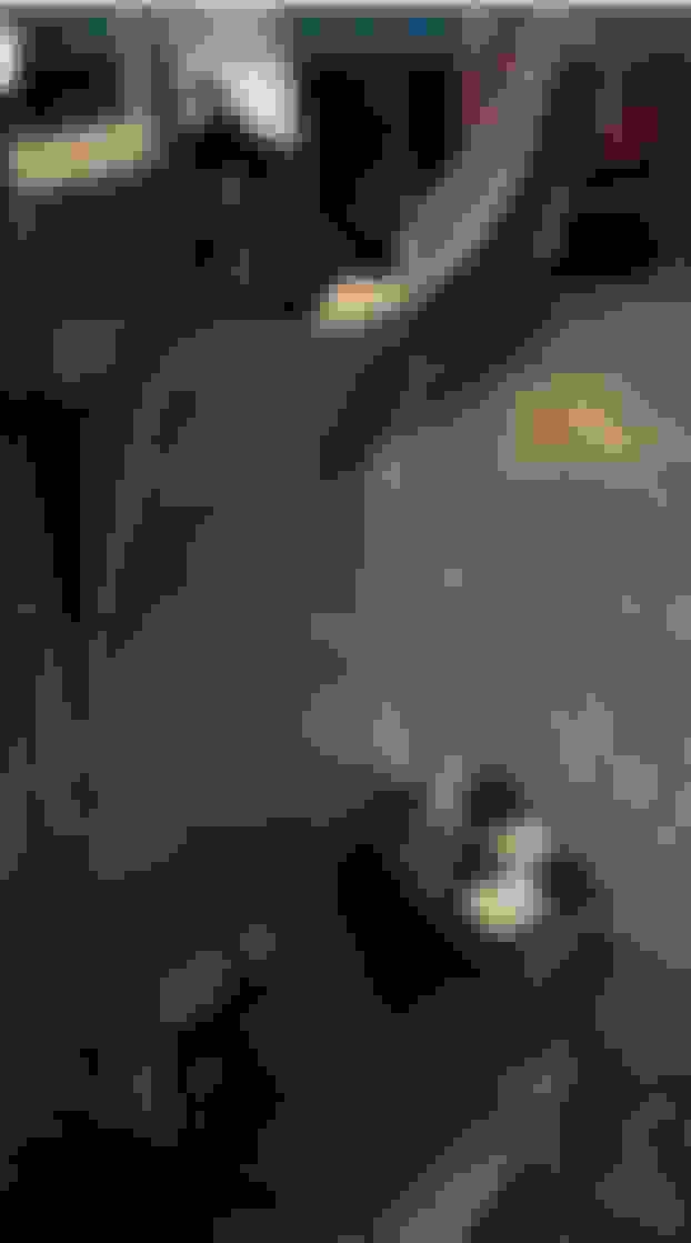 2017 Q7 Electrical - Rodent Damage - Page 2 - AudiWorld Forums