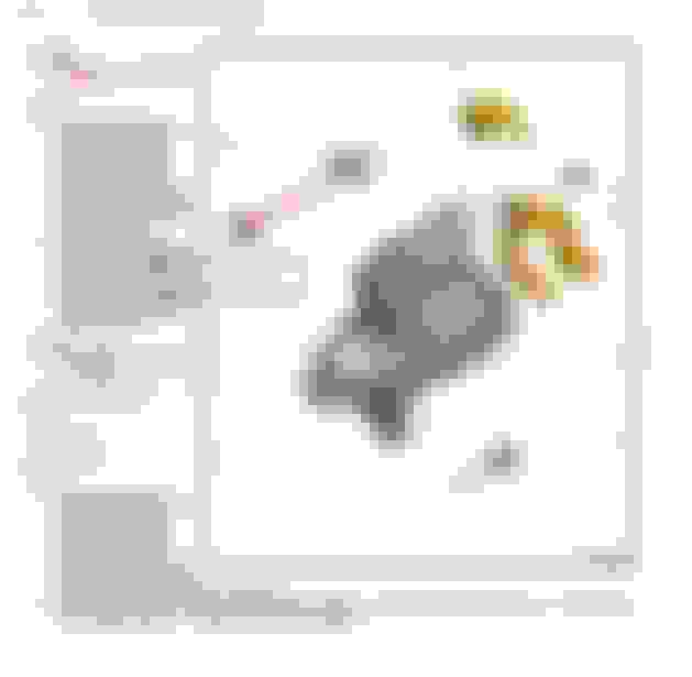 Audi A4 B9 - Starter replacement - AudiWorld Forums