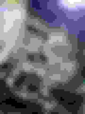 Broken drive shaft bolt rear differential - AudiWorld Forums