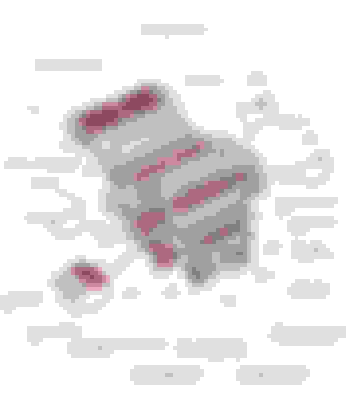 air recirculation flap motor replacement - Page 2 - AudiWorld Forums