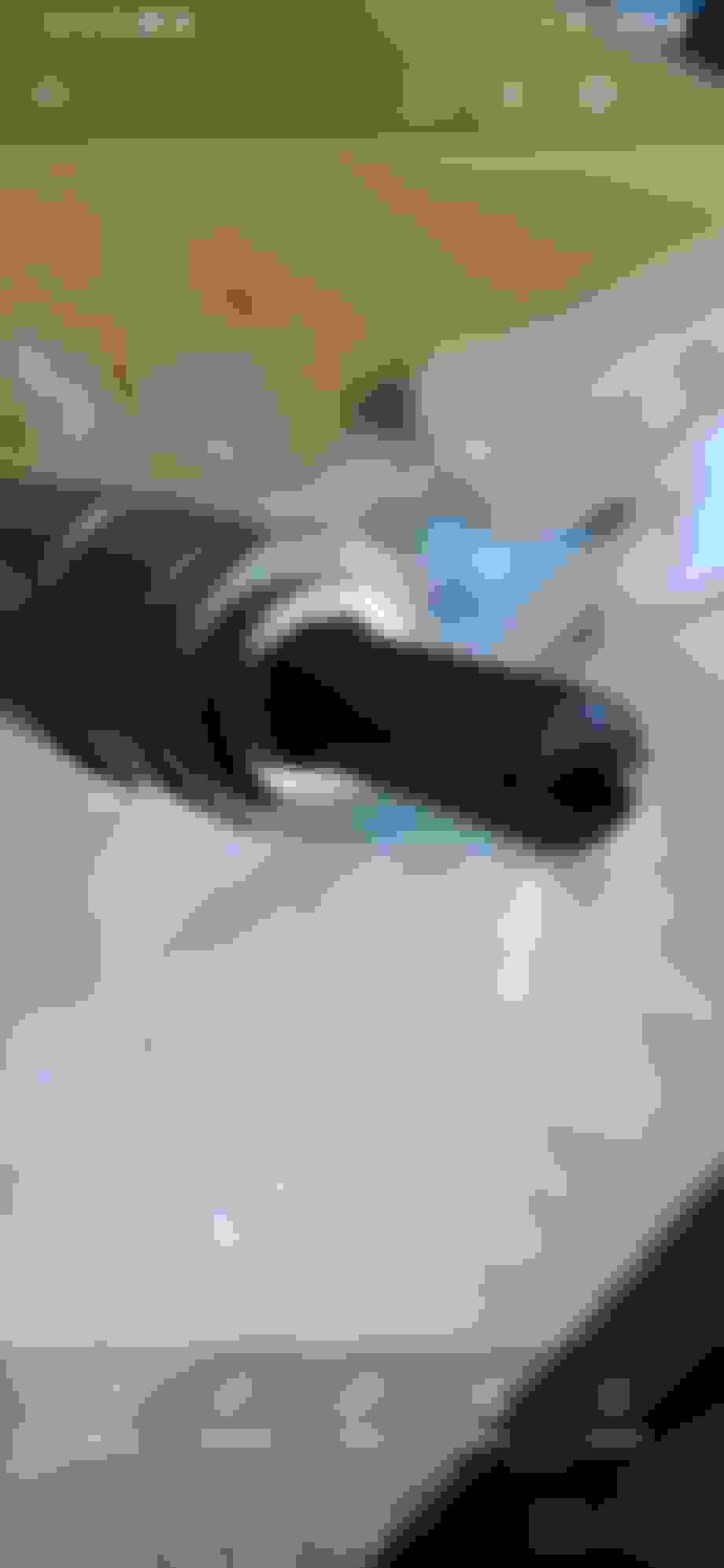 P008700 - Fuel high pressure too low - Page 3 - AudiWorld Forums