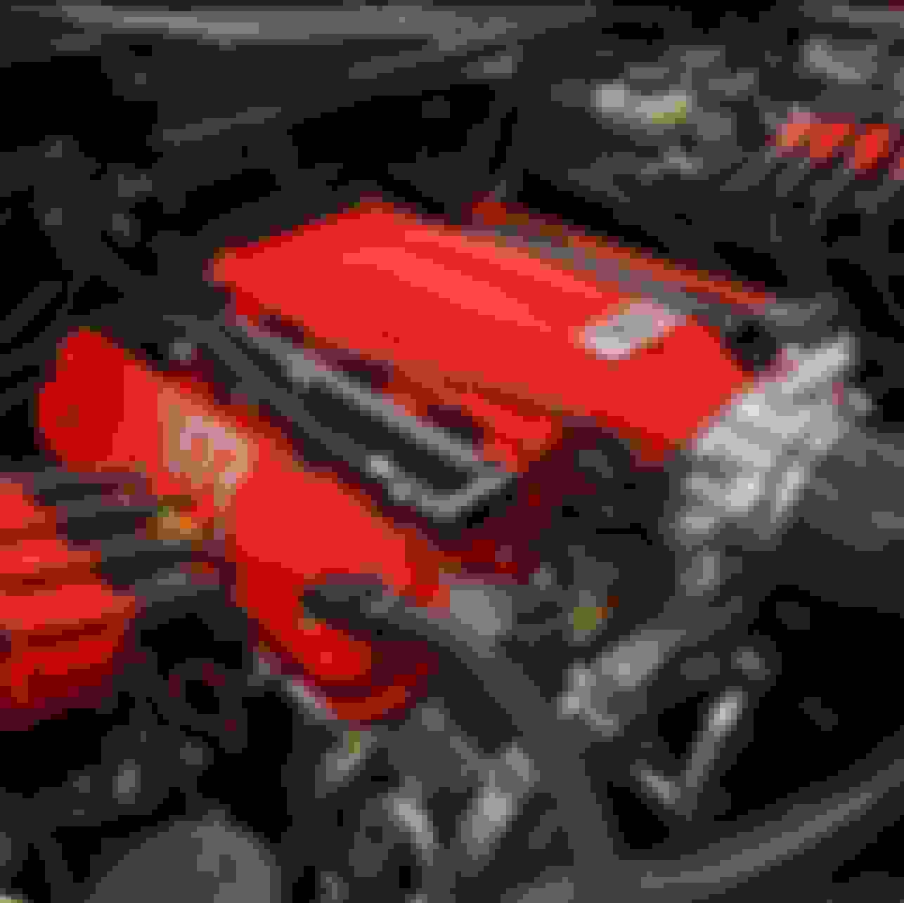 Show us that LS engine bay! - CorvetteForum - Chevrolet Corvette Forum ...