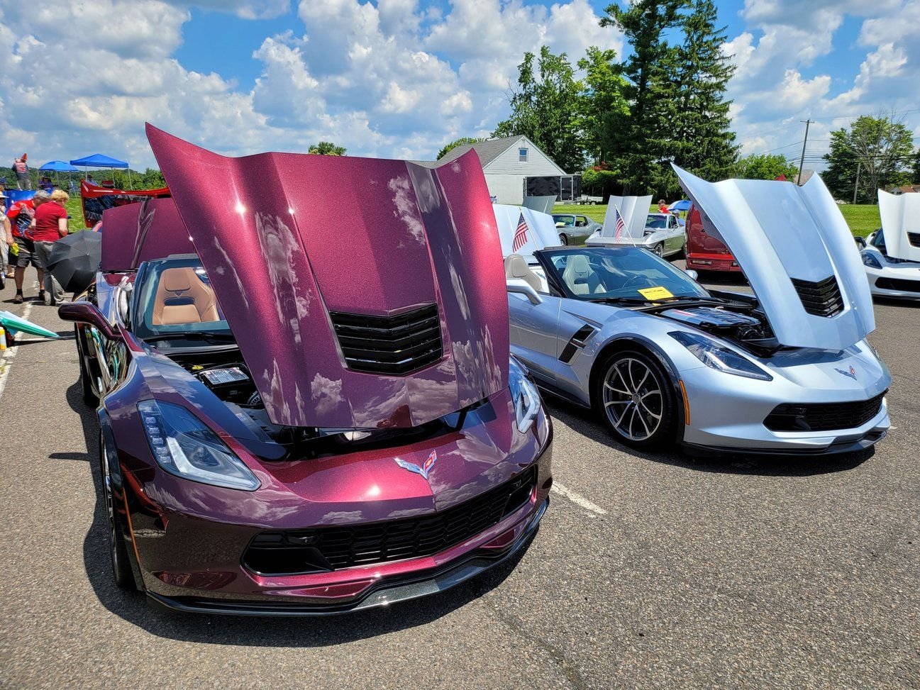 Official Sterling Blue Metallic Color Thread - Page 11 - CorvetteForum ...