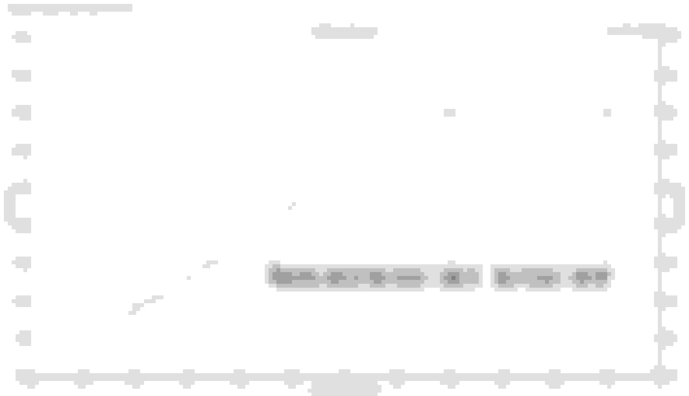 C6 Corvette Halltech Super Bee MF103 Intake Available Here at ...