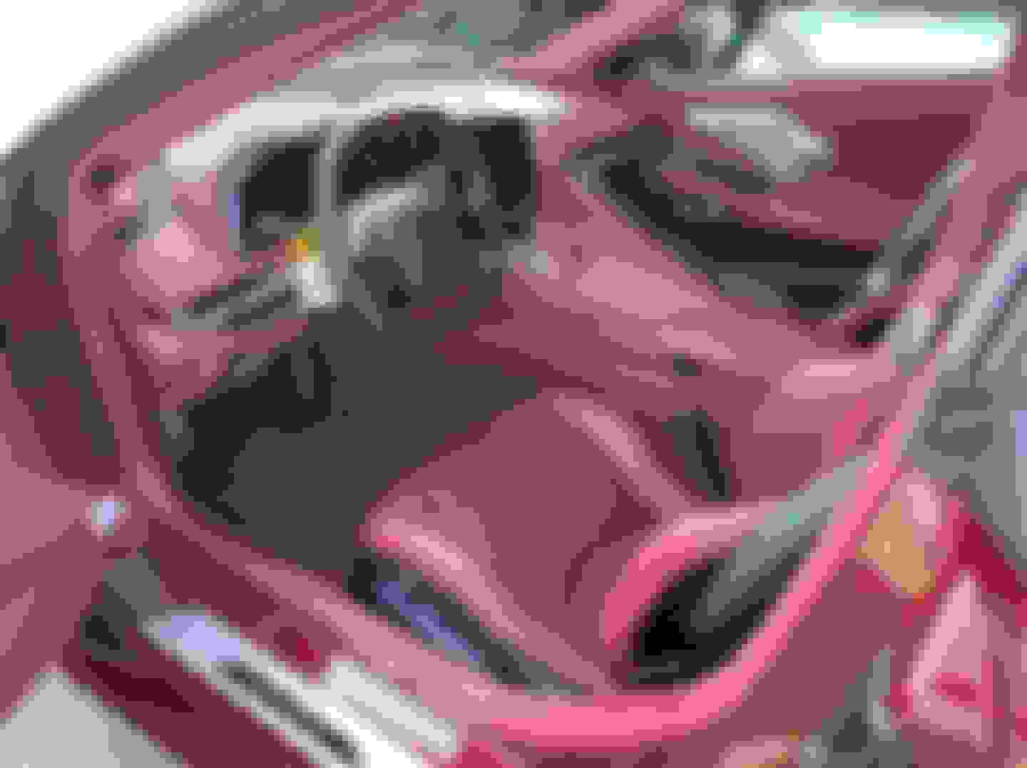 C8 Morello Red Dipped Interior - CorvetteForum - Chevrolet Corvette ...