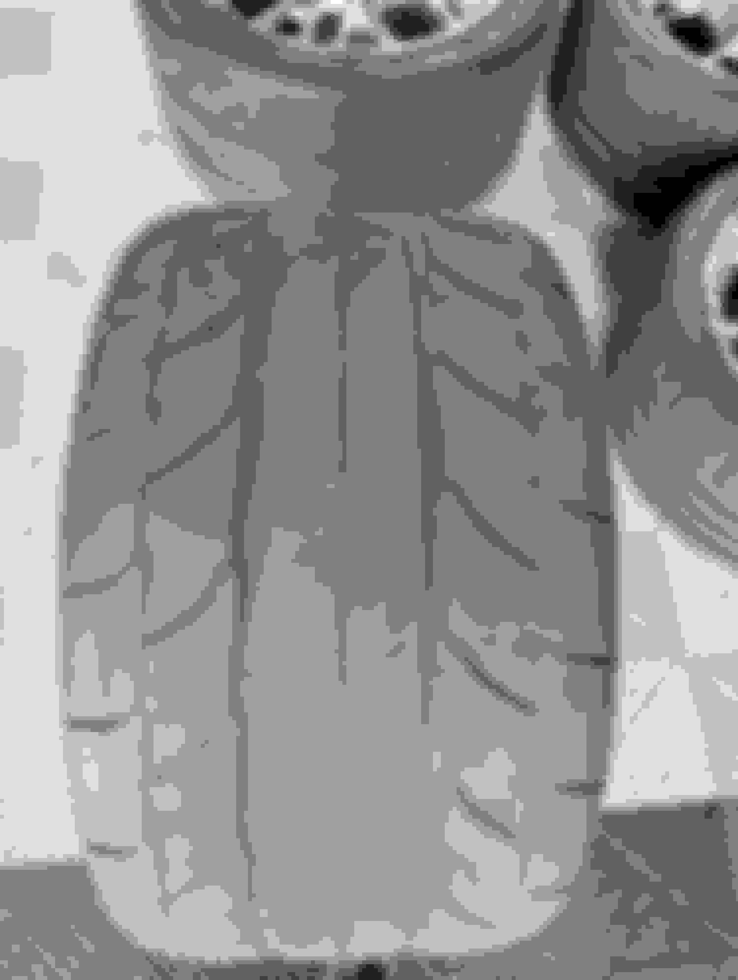 FS (For Sale) Corvette C7 z06 Chrome Wheels & Tires (Drag Radial Rears ...