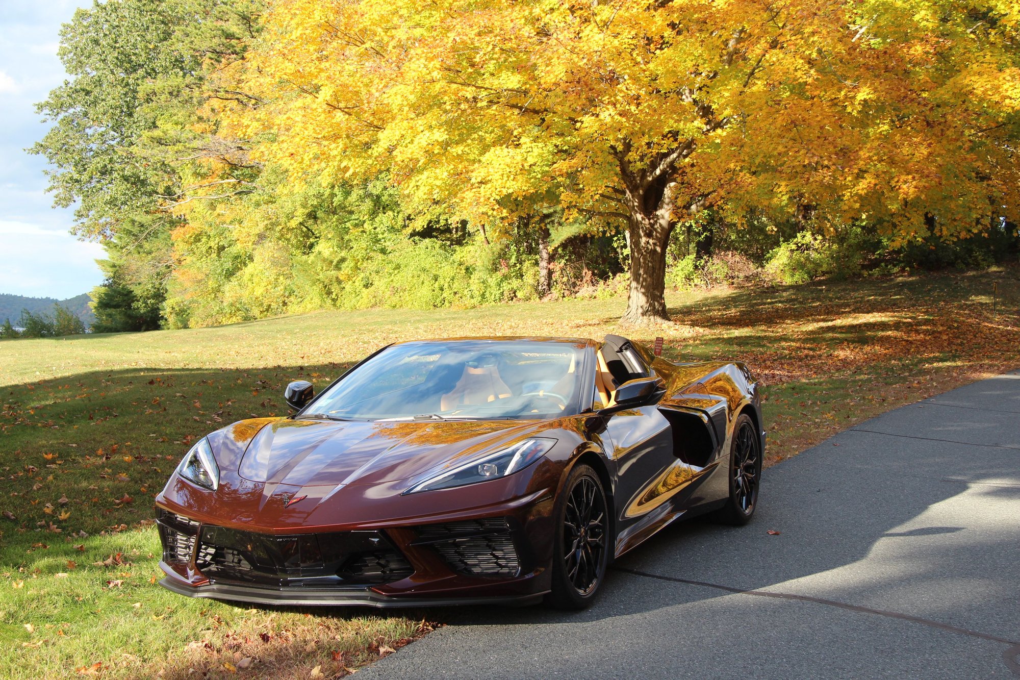 Objectively, what color best complements the C8? - Page 7 ...