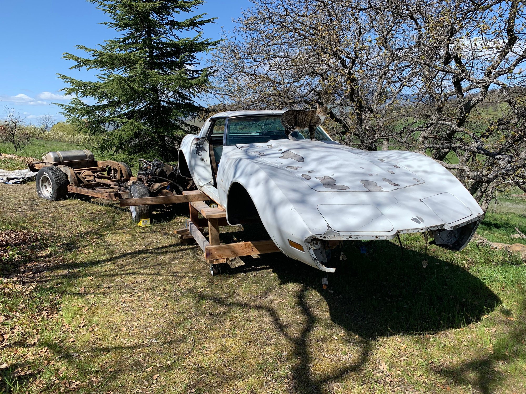 Hillbilly Garage - CorvetteForum - Chevrolet Corvette Forum Discussion