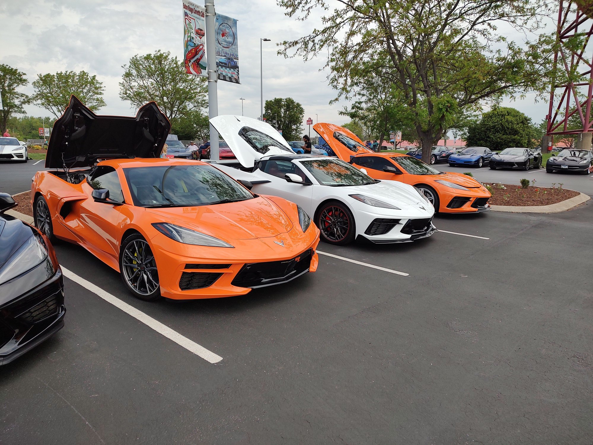 What did you do to your c8 today? (Pics!!!) - Page 100 - CorvetteForum ...