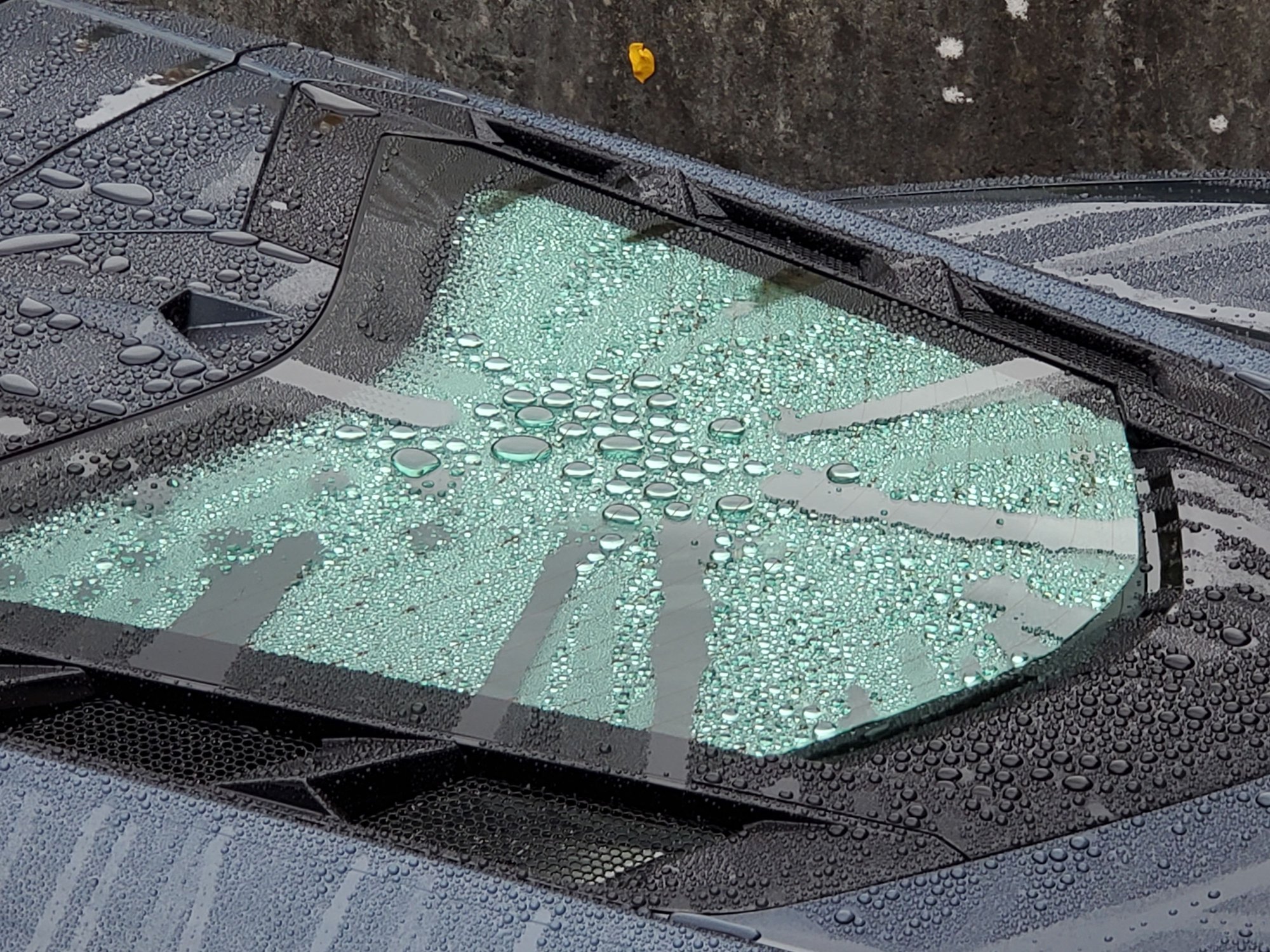 Who Knew the Back Glass was Concave? - CorvetteForum - Chevrolet ...