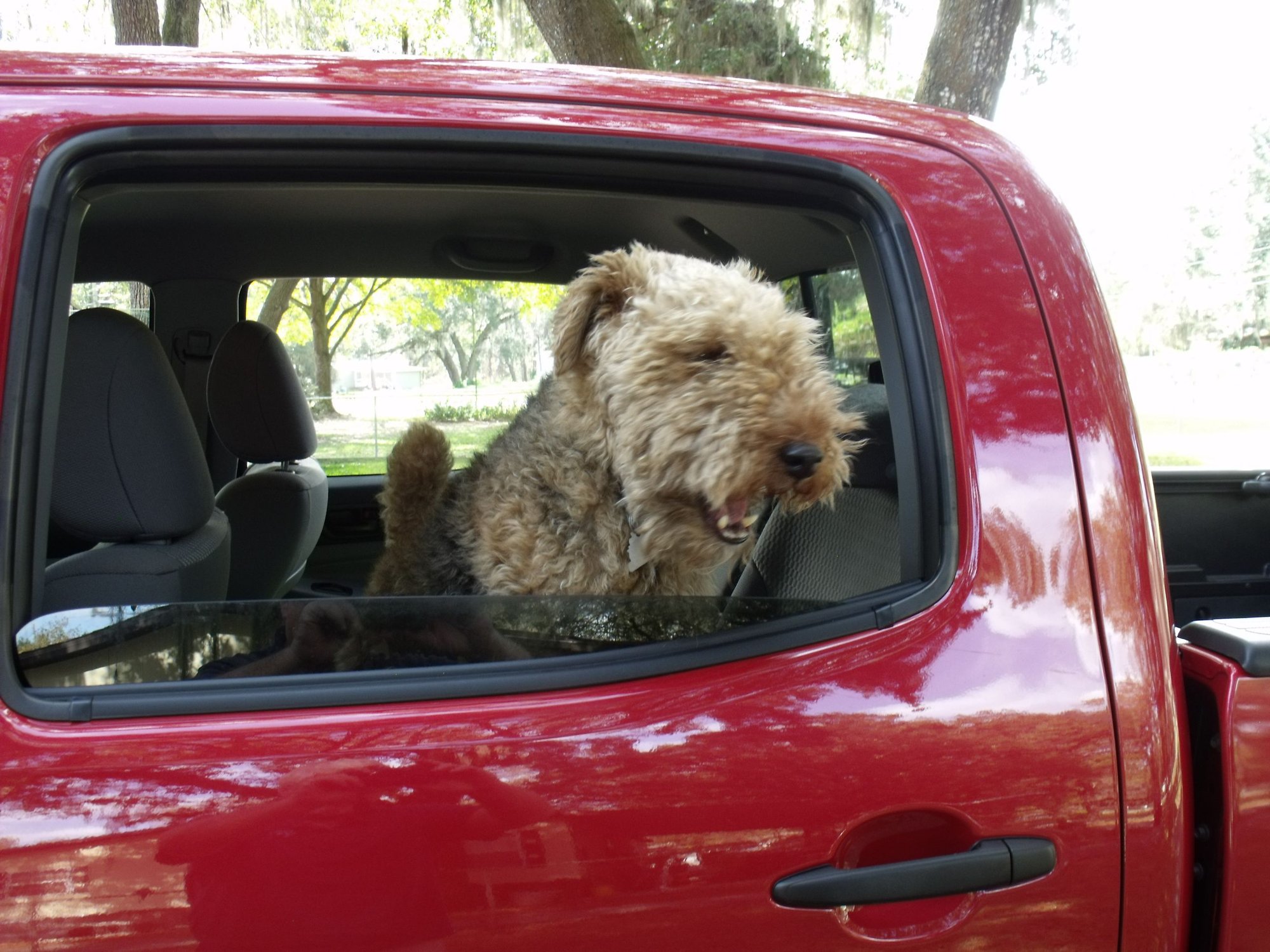 C2 What will I need to show my car in an outdoor car show? - Page 2 ...