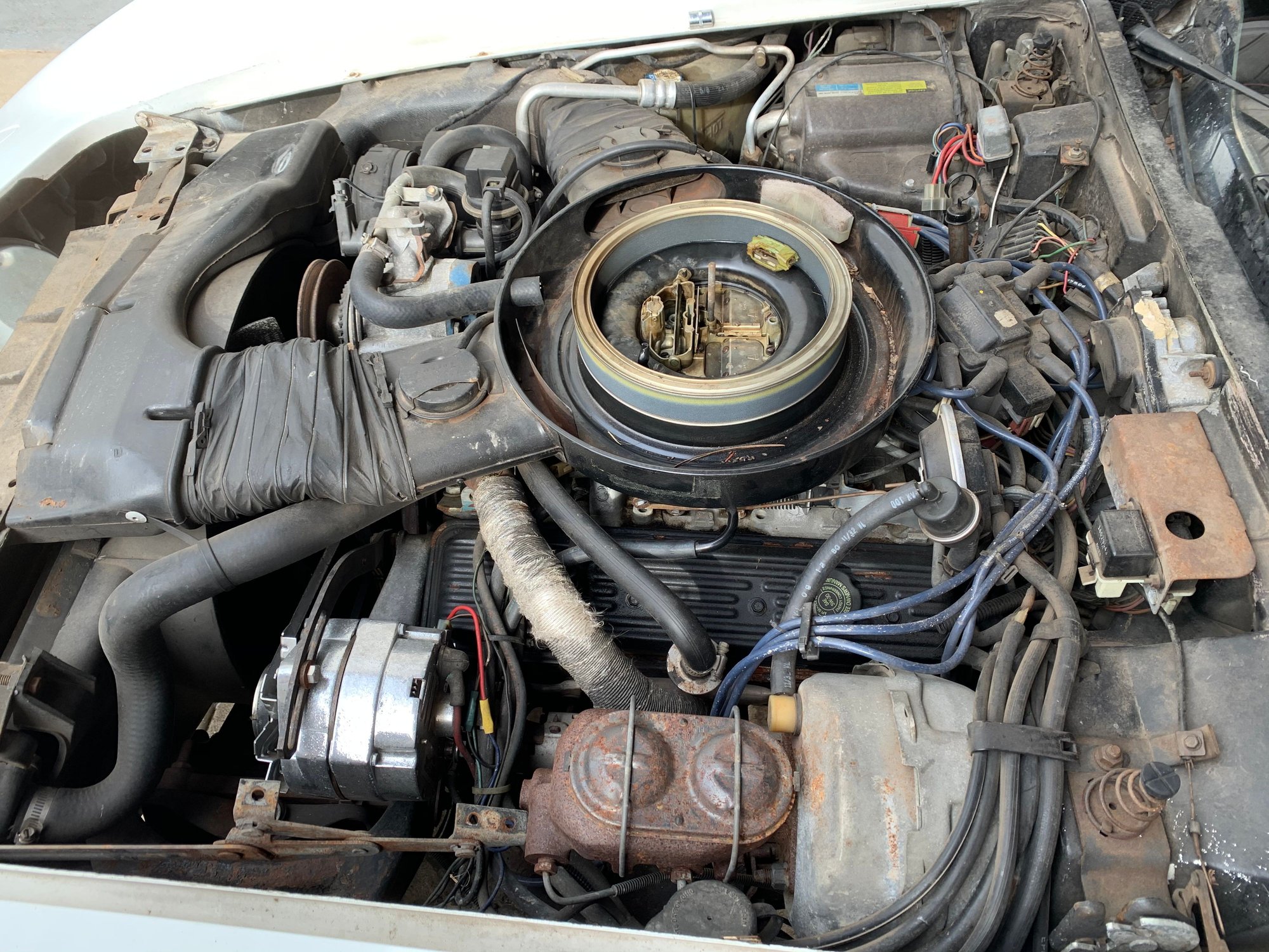 1981 C3 ...bone stock? - CorvetteForum - Chevrolet Corvette Forum ...