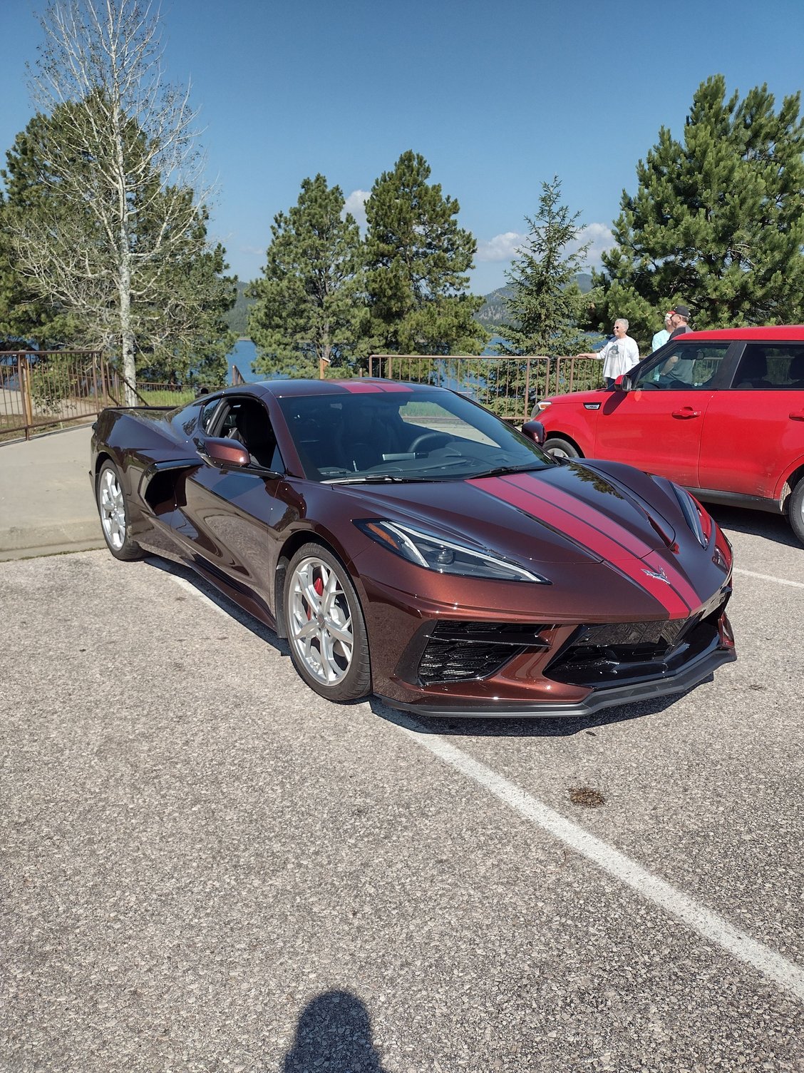 Caffeine color - Page 3 - CorvetteForum - Chevrolet Corvette Forum ...