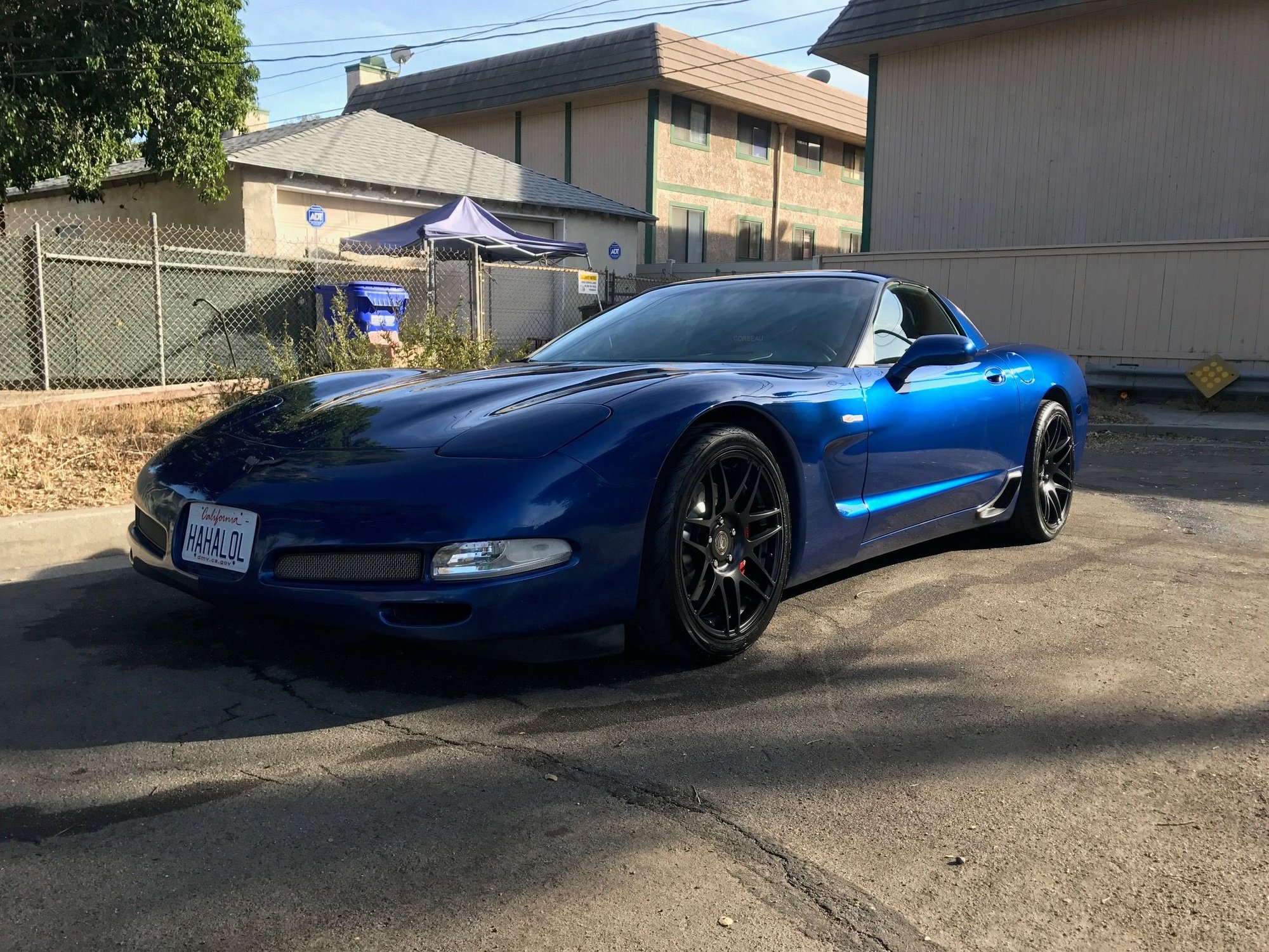 FS (For Sale) 2002 Electron Blue Z06 97k miles - CorvetteForum ...