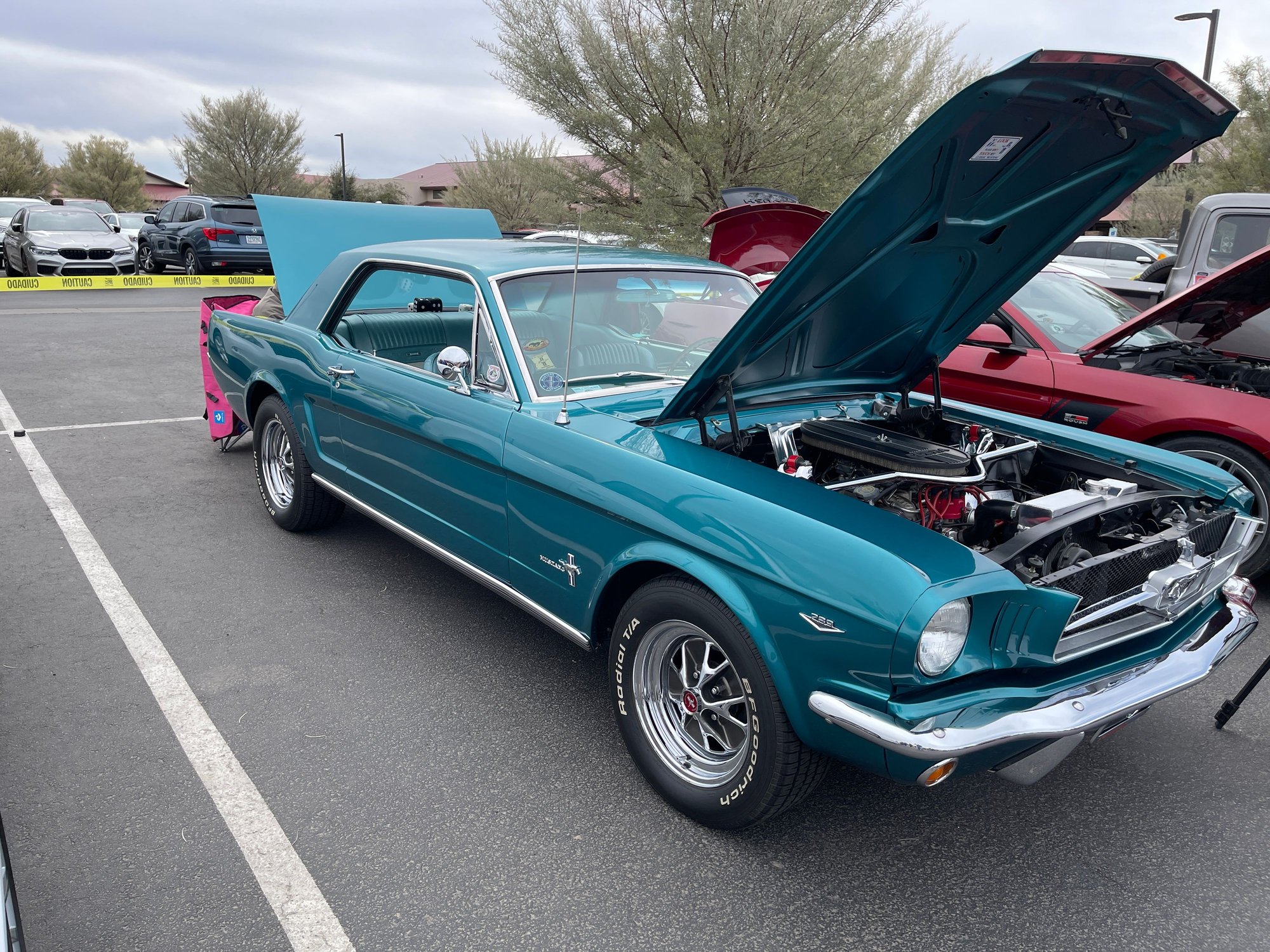 Local car show pics... - CorvetteForum - Chevrolet Corvette Forum ...