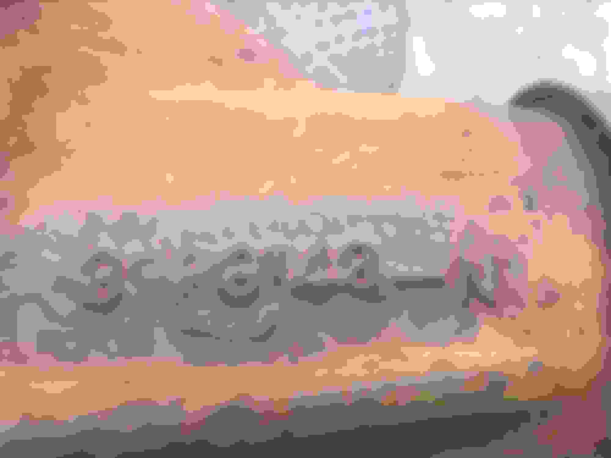 Diff identification - CorvetteForum - Chevrolet Corvette Forum Discussion