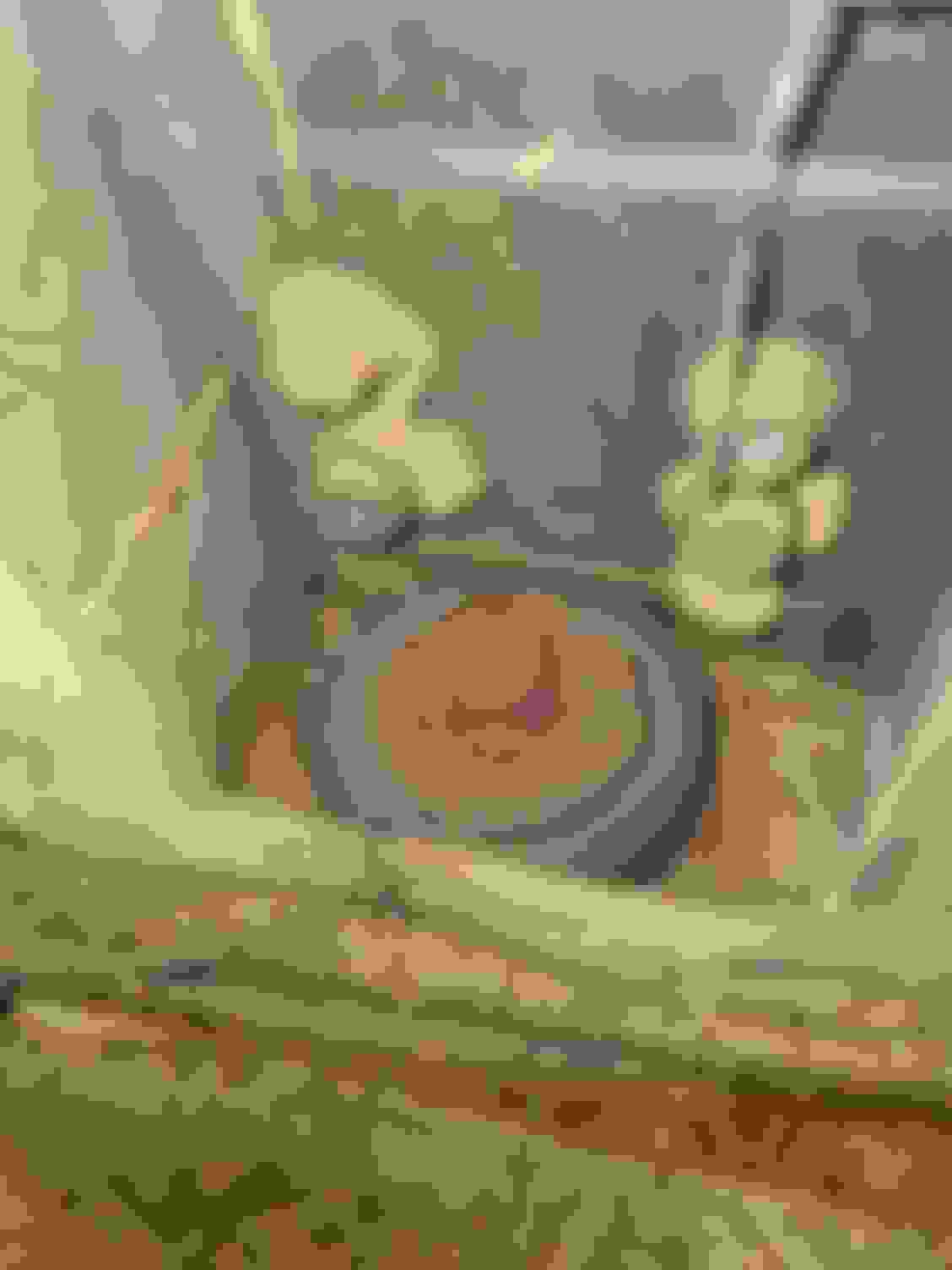 Birdcage and windshield frame rust - CorvetteForum - Chevrolet Corvette ...