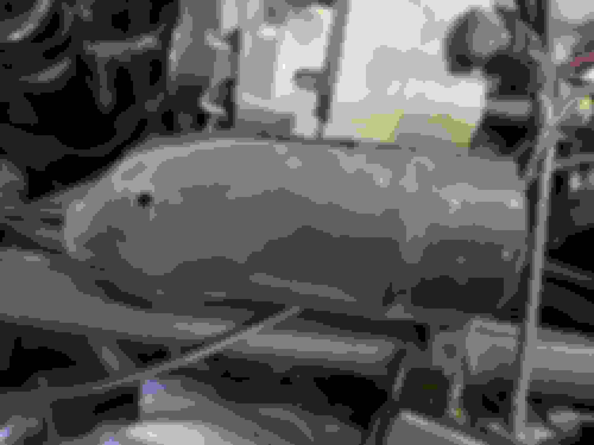 1985 steering cover - CorvetteForum - Chevrolet Corvette Forum Discussion