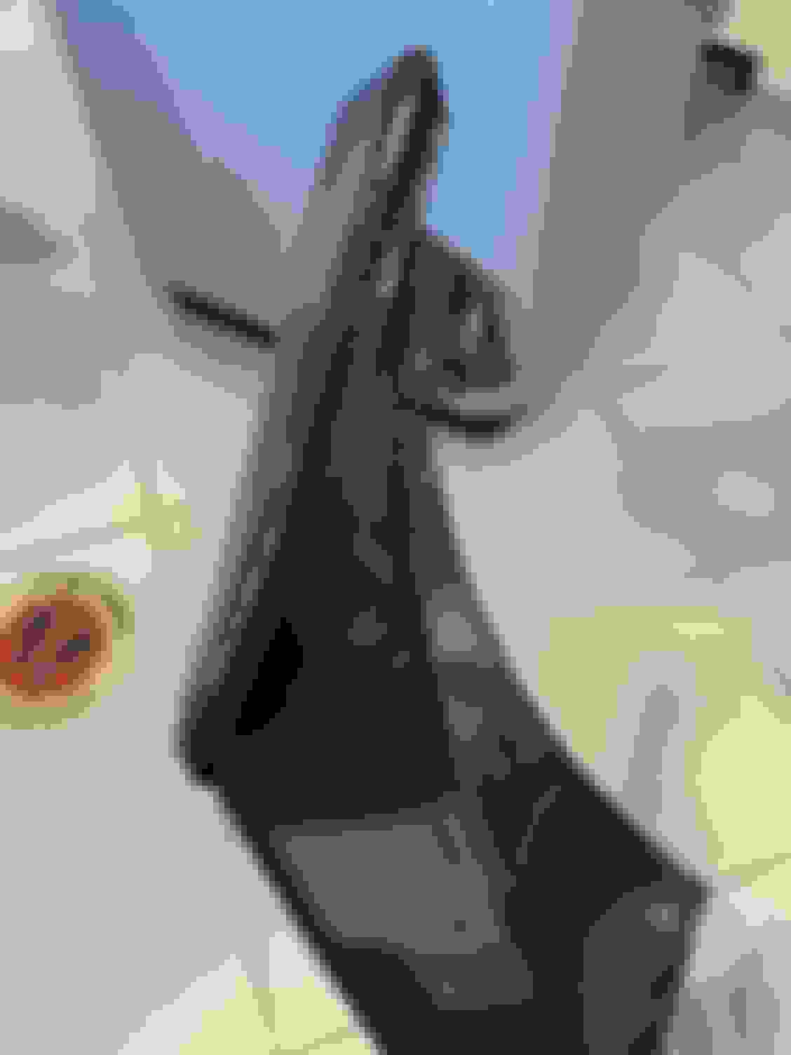 FS (For Sale) NEW GM OEM carbon fiber splitter #23496405 ...