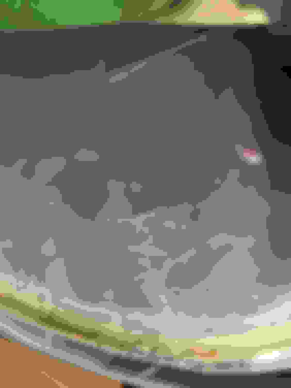 FS (For Sale) 1967 original GM LOF glass set M3 winshield M51 side ...