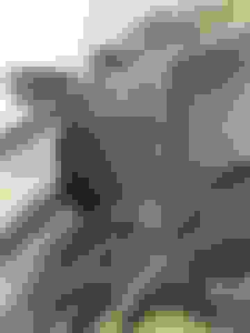 2003 C5 Window adjustment, advice needed - CorvetteForum - Chevrolet ...