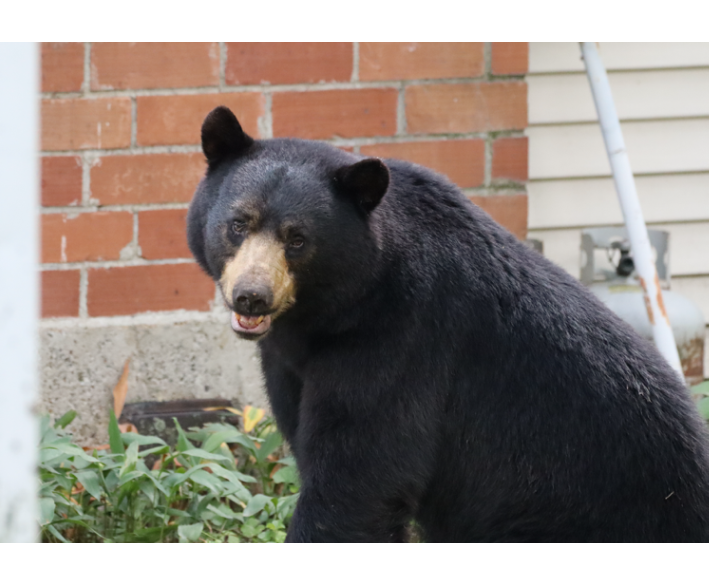 ERay Sighting TODAY in Pittsburgh!! - CorvetteForum - Chevrolet Corvette Forum Discussion