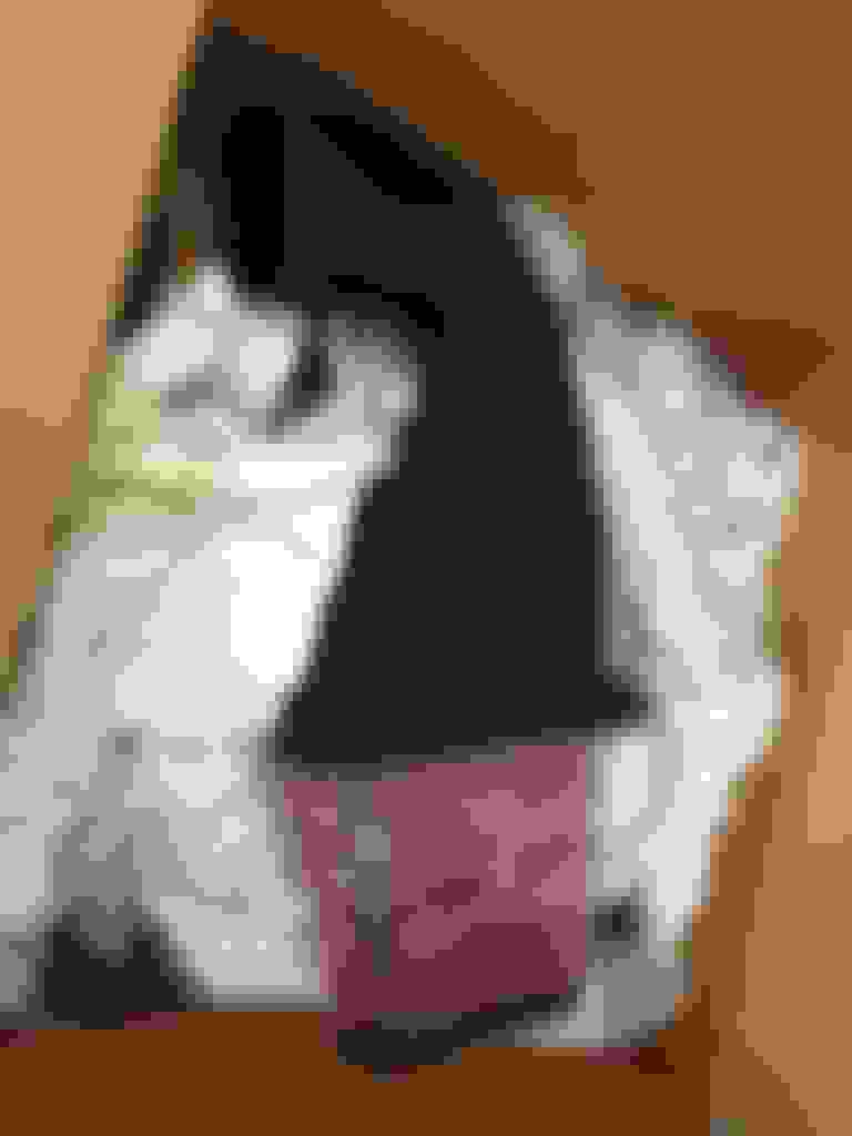 **LMR Cold Air Induction System** - CorvetteForum - Chevrolet Corvette ...