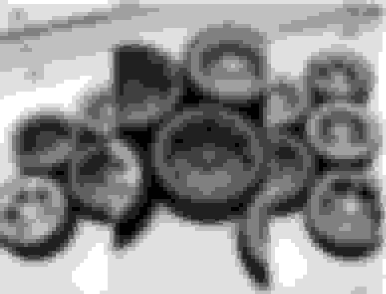 Wheels for a G/S - CorvetteForum - Chevrolet Corvette Forum Discussion