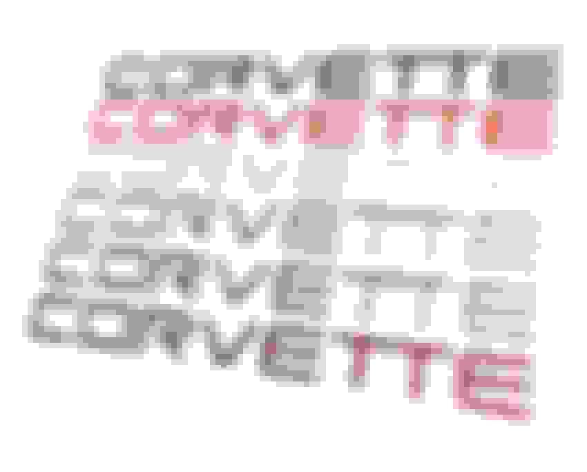 1991-1996 C4 Corvette Domed Front & Rear Bumper Lettering Inserts ...
