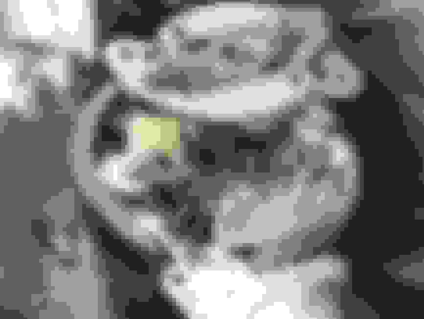 Internal Distributor Wiring - CorvetteForum - Chevrolet Corvette Forum ...