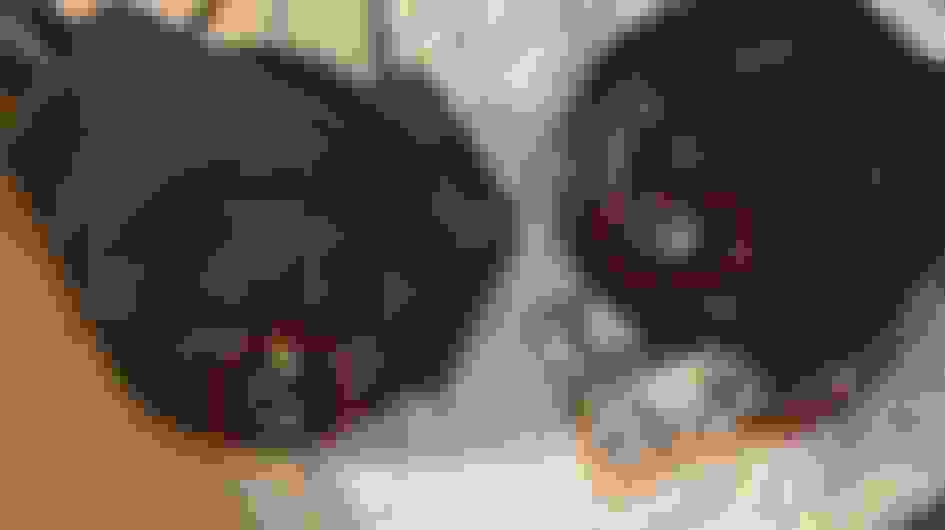 GM performance 12497698 serpentine Power Steering. - CorvetteForum ...