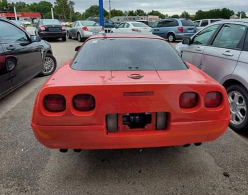 91 Z07, "To clone or not to clone; that is the question ...