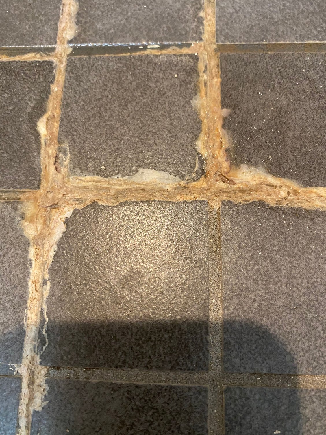 Grout damaged- regrout or retile? - DoItYourself.com Community Forums