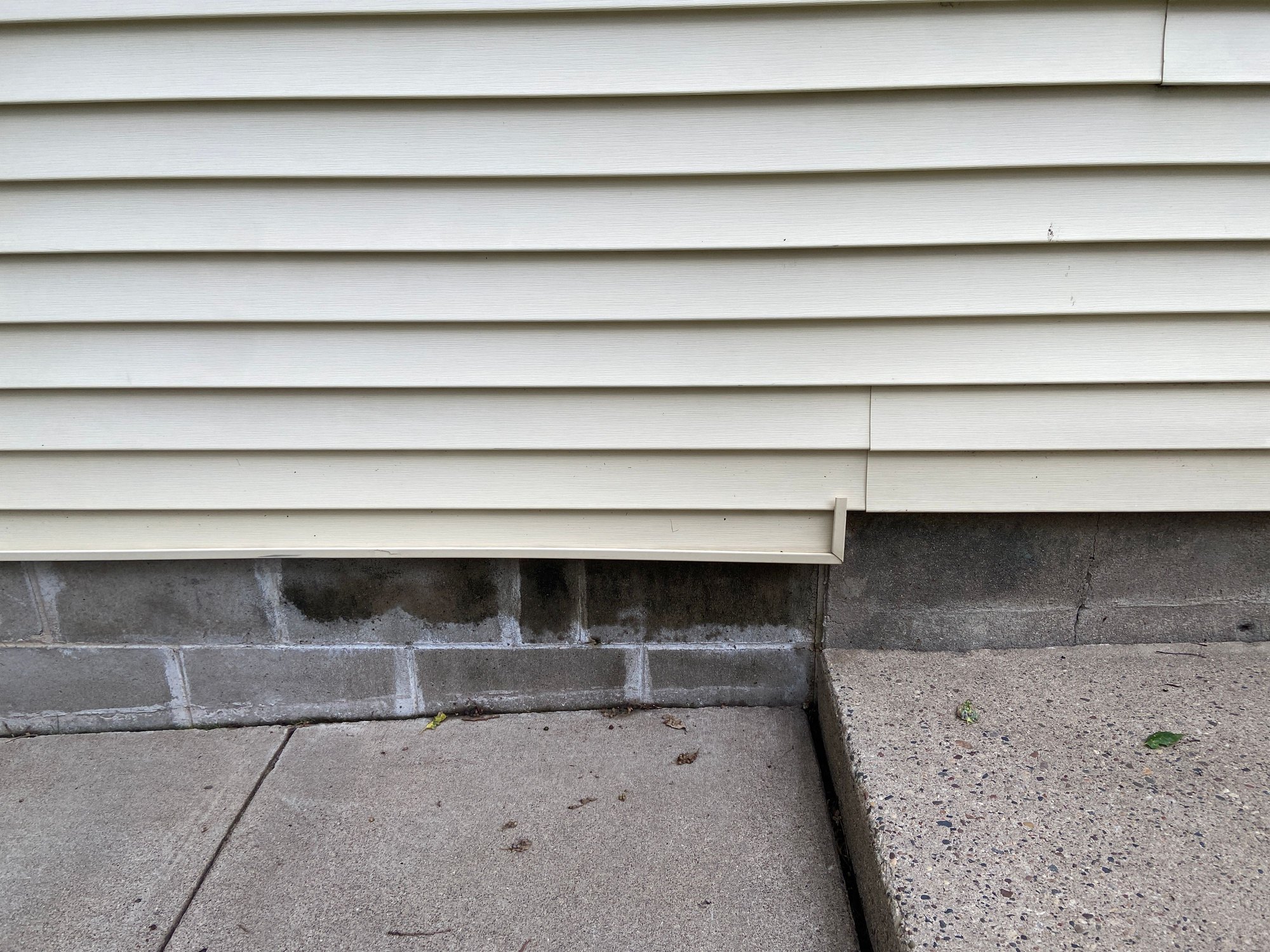 Wet Spot on Exterior Concrete After Rain – Cause for Concern ...