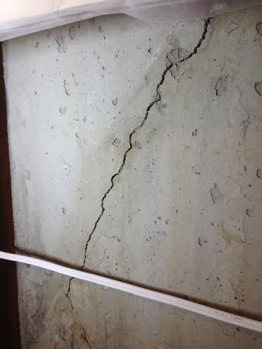 Gnats? in basement - DoItYourself.com Community Forums