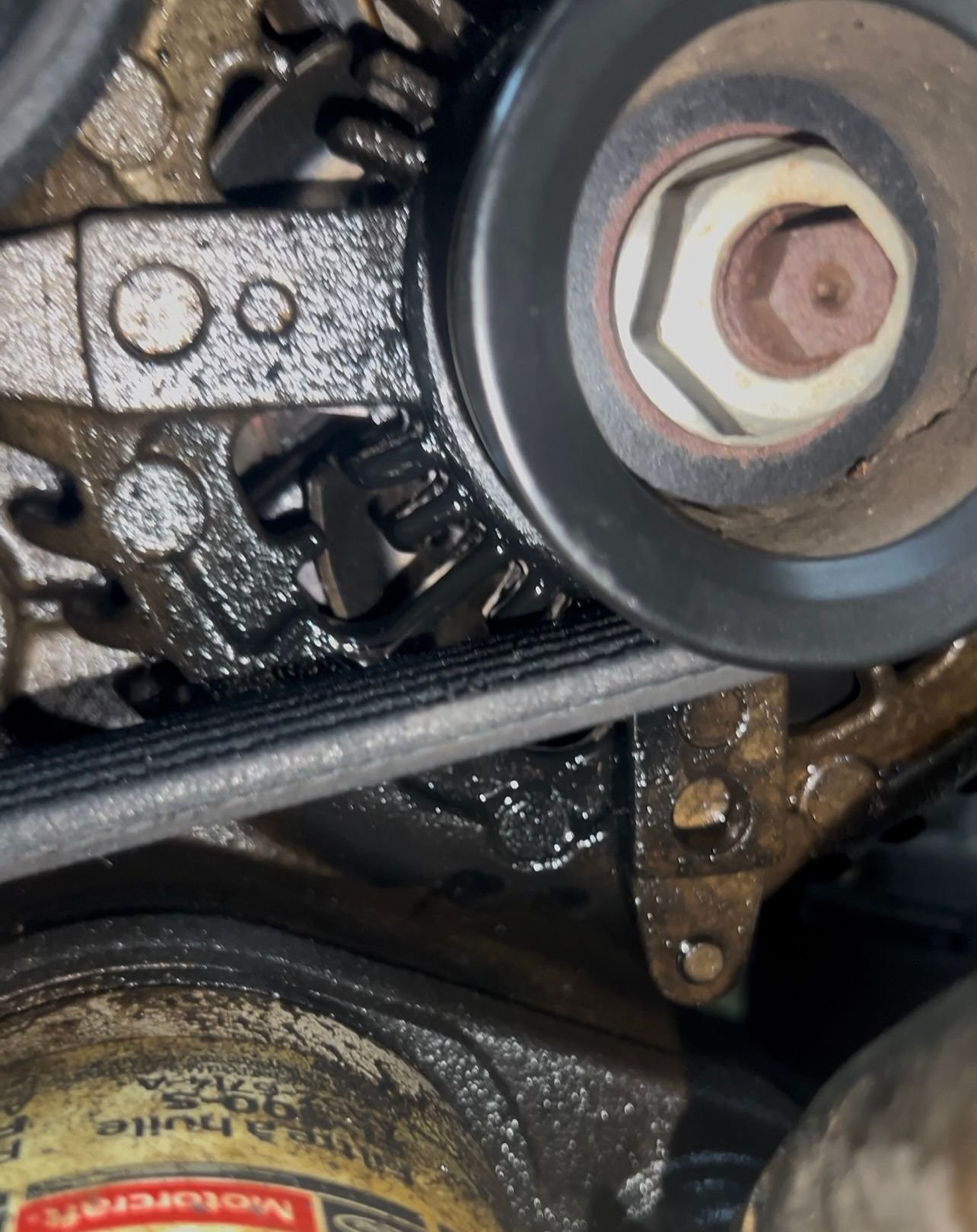 Oil leak on front driver side - Ford F150 Forum - Community of Ford ...