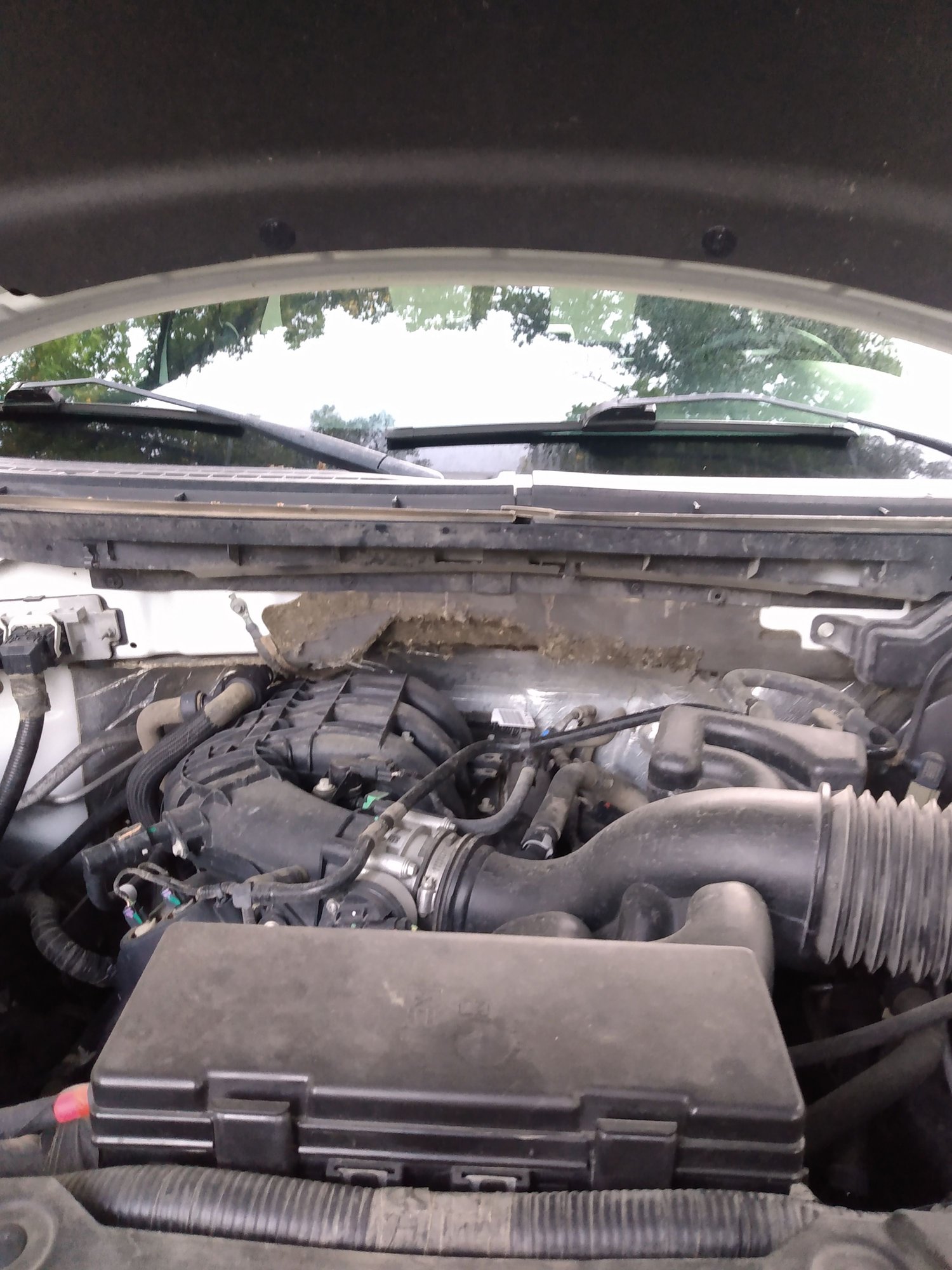 2013 3.7 F150 firewall insulation - Ford F150 Forum - Community of Ford ...