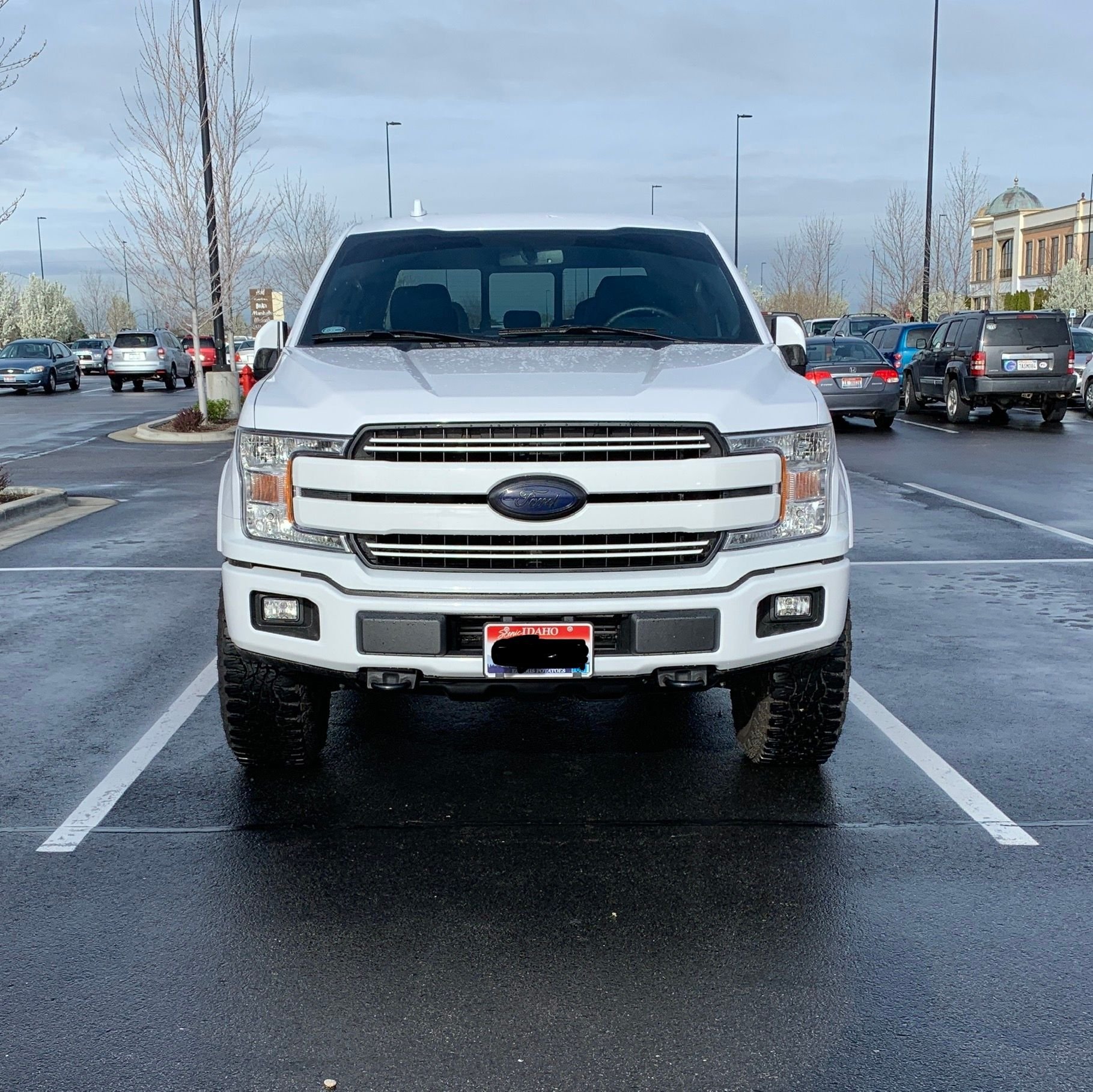 Raptor Skid Plate on my 2018 F-150 XLT - Page 11 - Ford F150 Forum ...