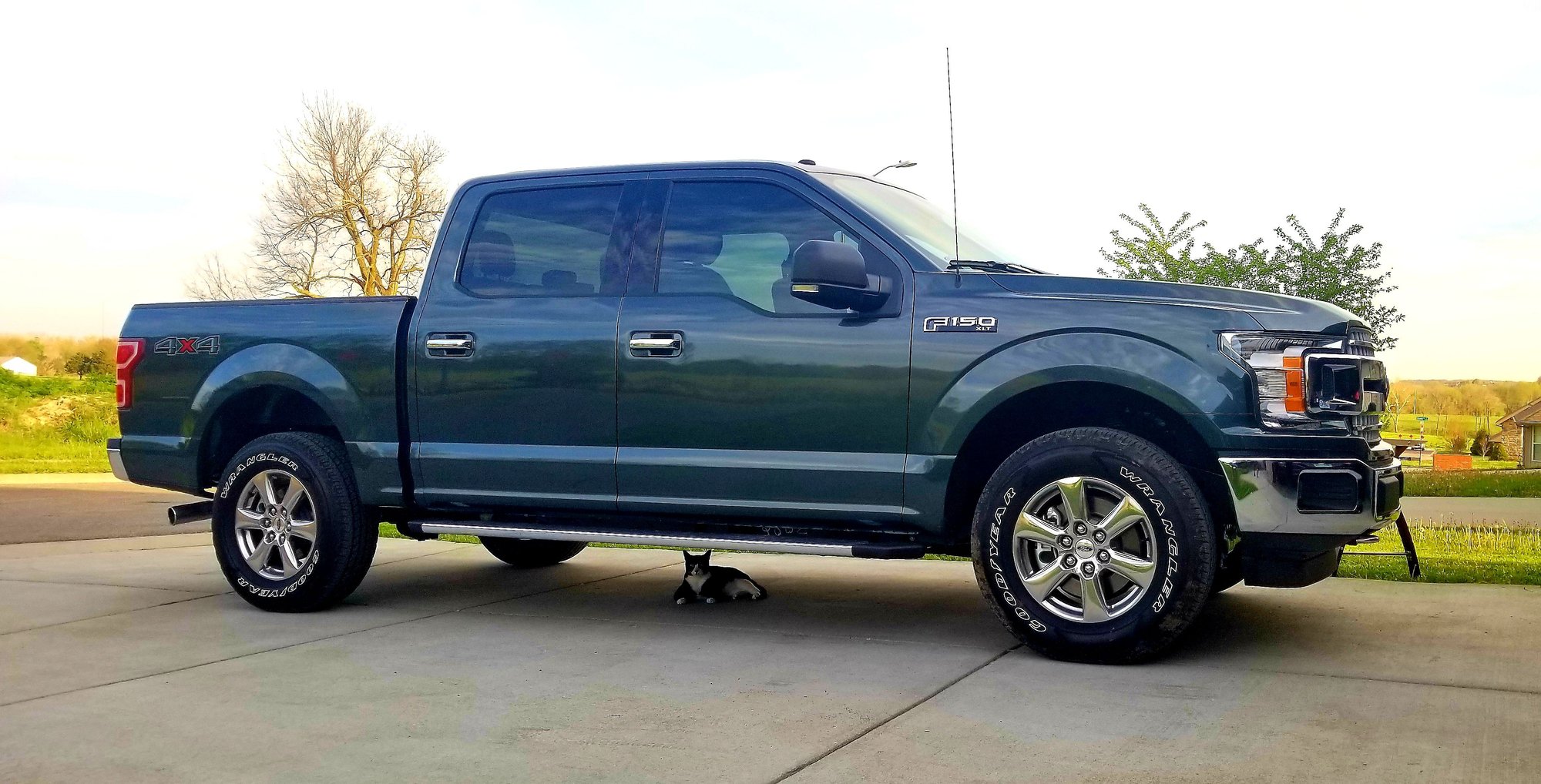 Guard Metallic F150 Pics - Page 11 - Ford F150 Forum - Community of ...