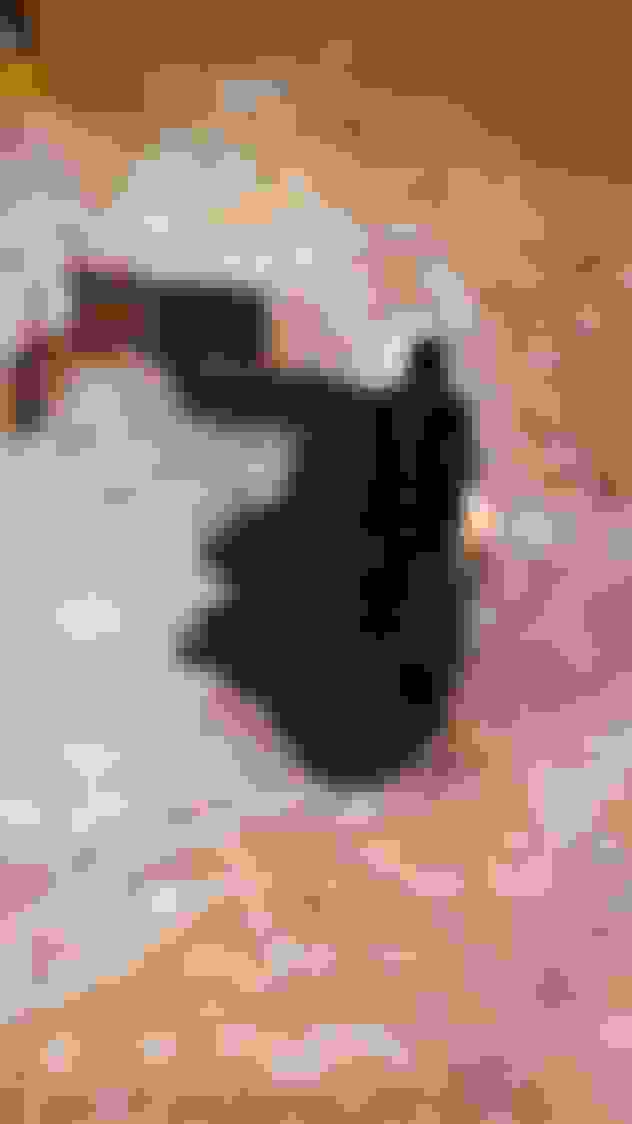 P0722 Output Speed Sensor - Ford F150 Forum - Community of Ford Truck Fans