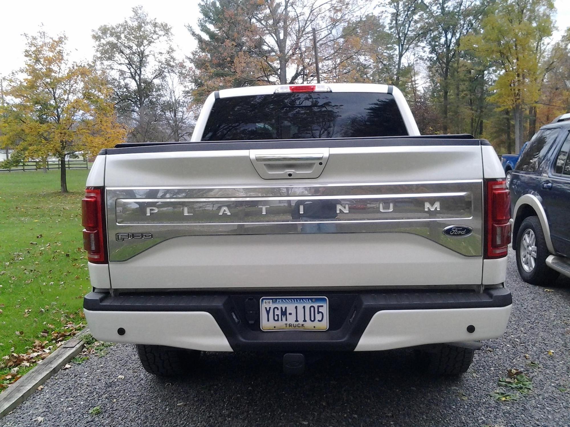 Platinum Letter Inserts - Any Out There? - Page 2 - Ford F150 Forum ...