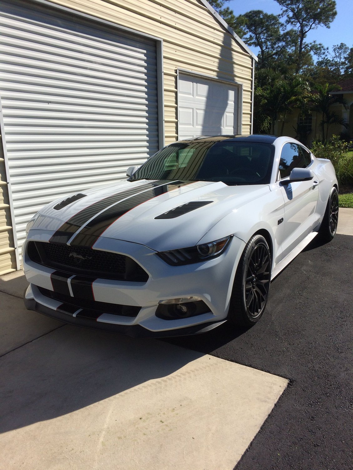 Show your F150 and your Mustang - Page 37 - Ford F150 Forum - Community ...