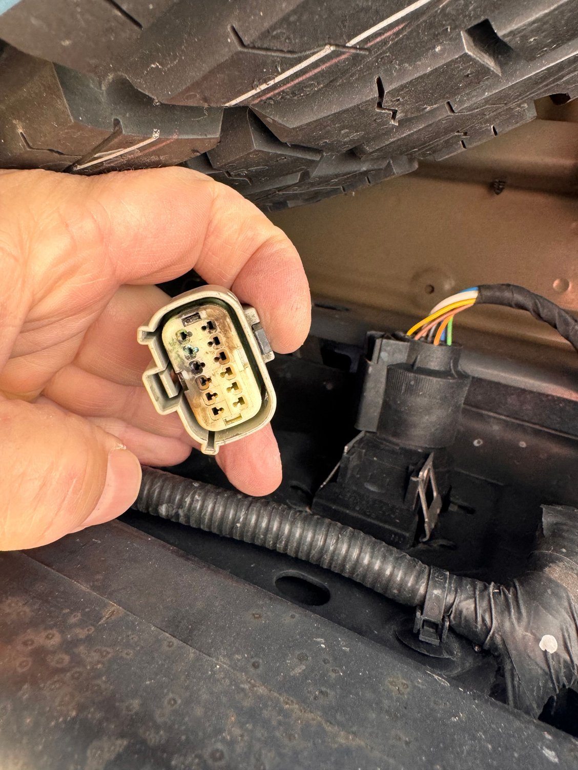 Blue screen on back up camera - Ford F150 Forum - Community of Ford ...