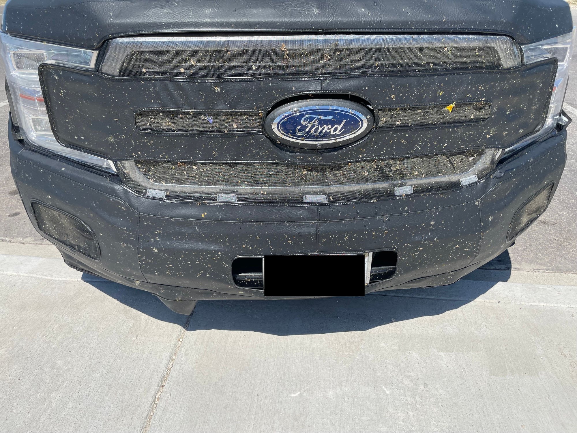 Product Review 10k miles - Front Mask Cover - Lebra -13th Gen - Ford ...