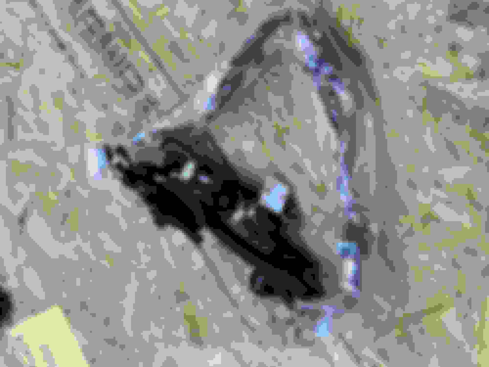 Southeast 360 Camera Setup - Ford F150 Forum - Community of Ford Truck Fans