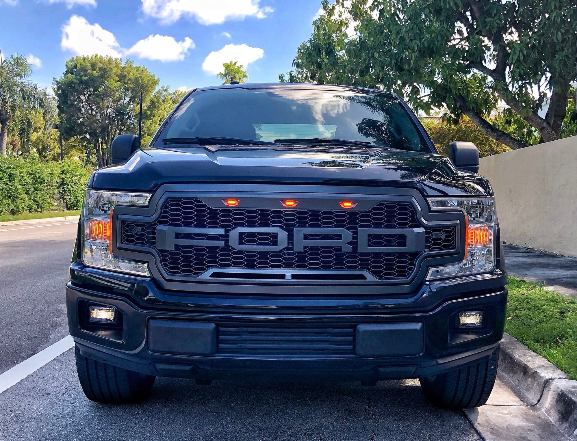 2018 Raptor Style Grille and Bumper - Page 5 - Ford F150 Forum ...